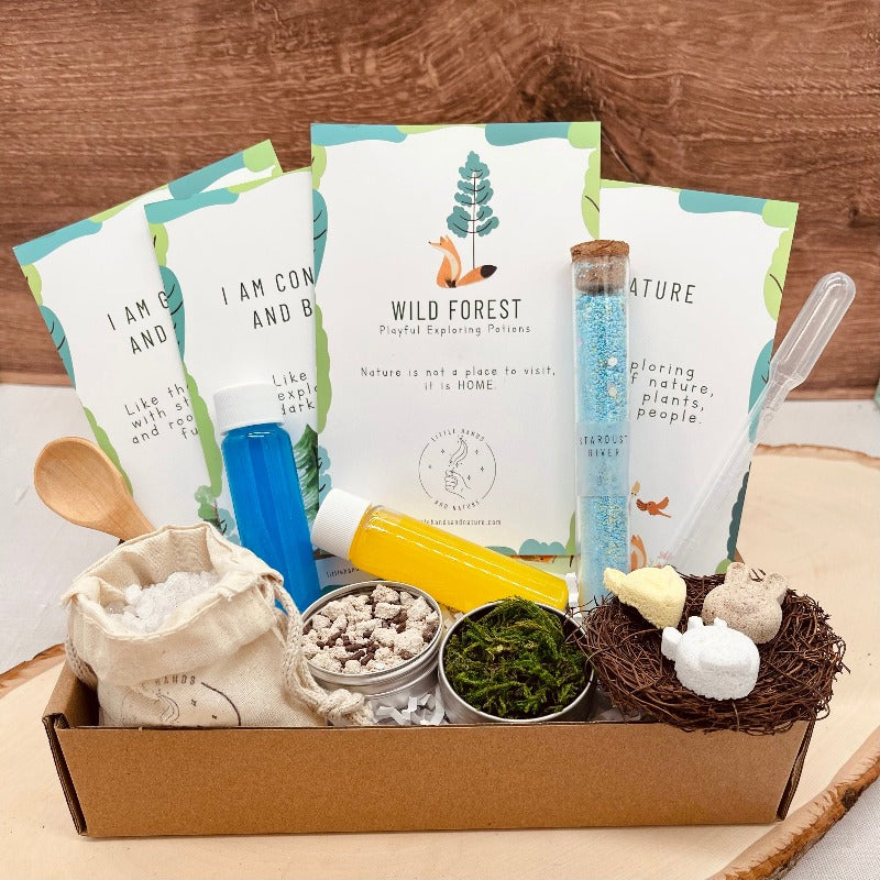 Wild Forest Potion Kit – My Toy Wagon
