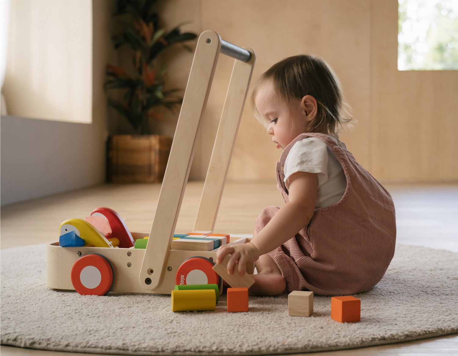 Plan Toys Bird Walker – My Toy Wagon