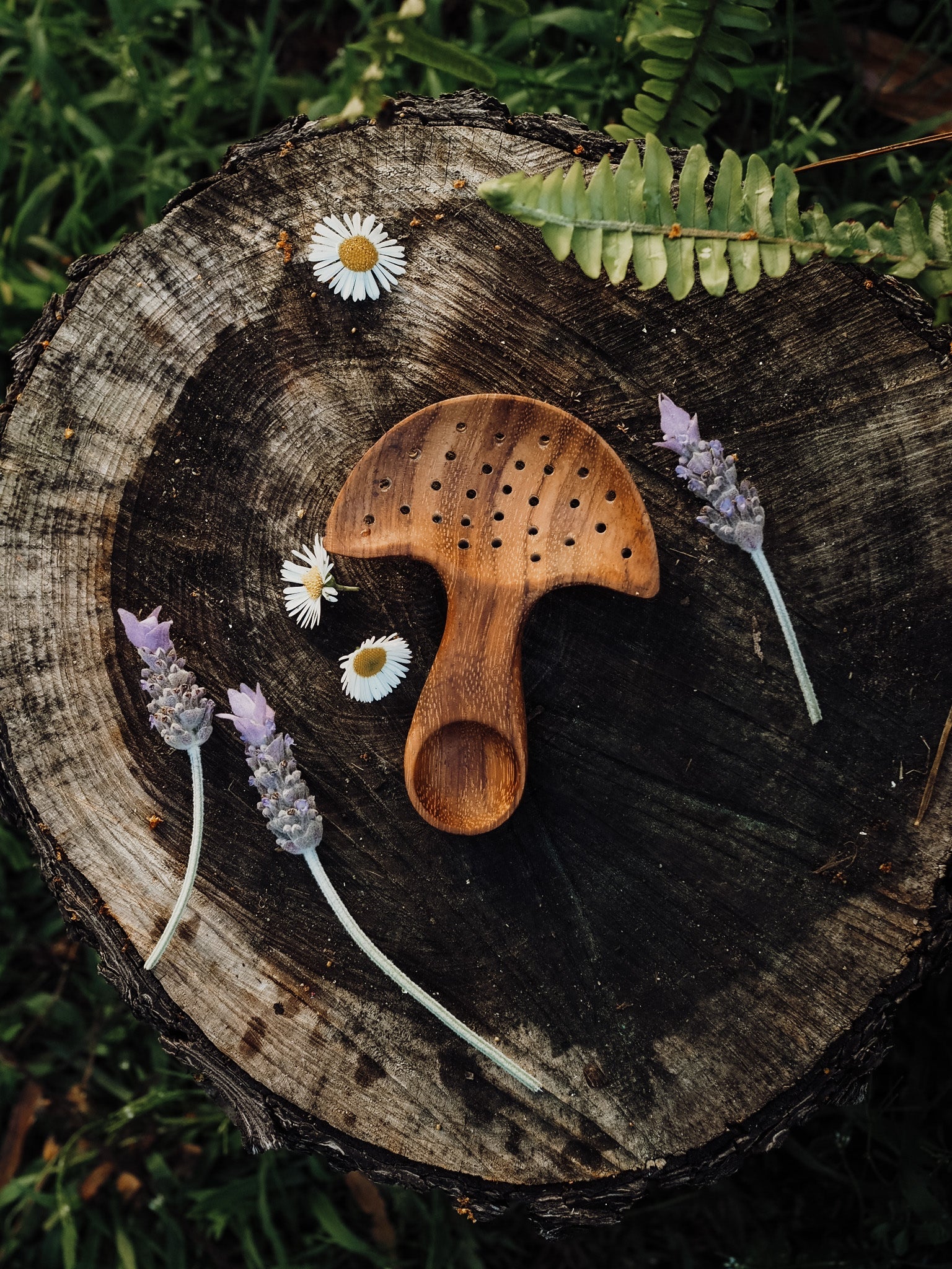 Wild Mountain Child Mushroom Multi Tool – My Toy Wagon